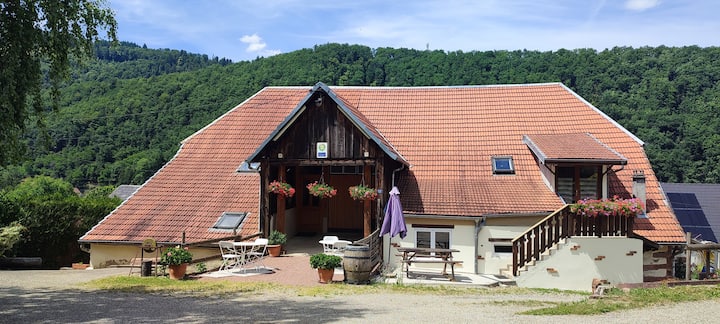 Gîte La Gentiane - Lusse