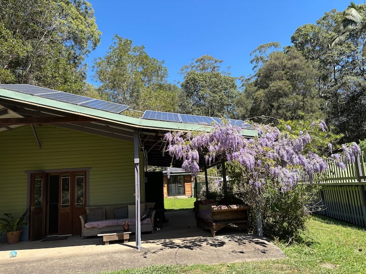 Lush Nature At Earth Haven Studio By Nimbin Rocks - Nimbin