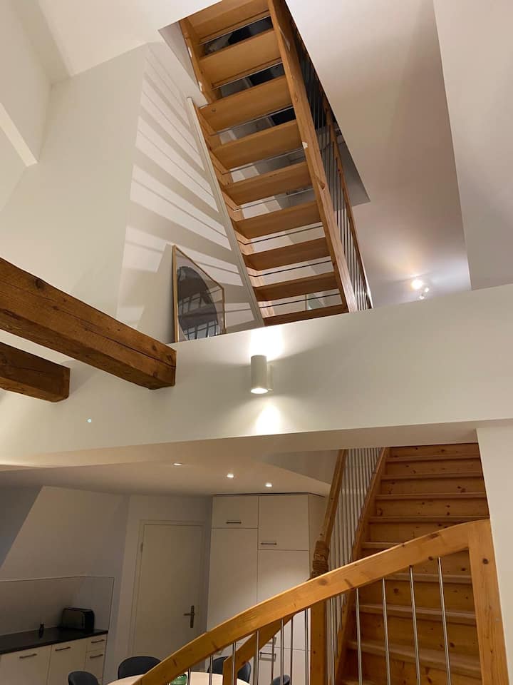 3 Br Duplex In Wiedikon - Zürich
