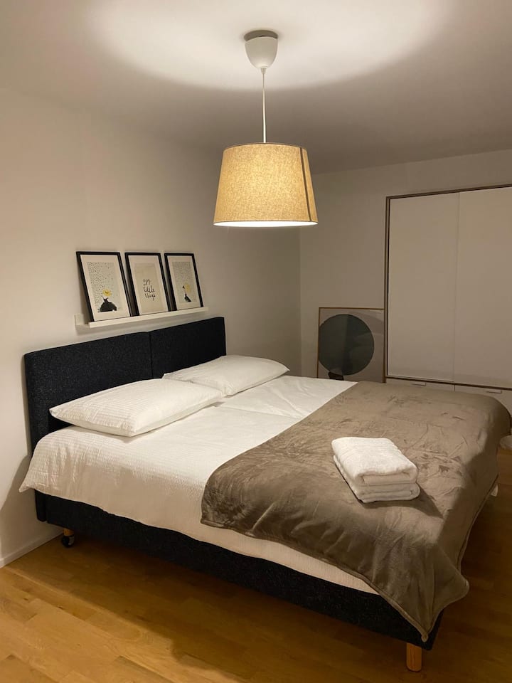 3 Br Duplex In Zurich-wiedikon - Zürich