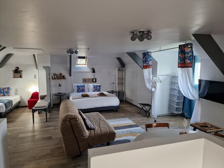 Grand Studio De La Lézardière - Blois