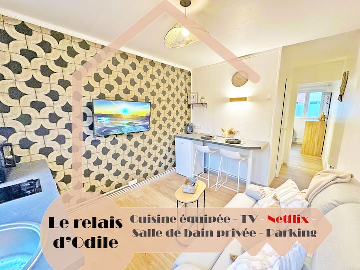 Charmant Studio Proche Hôpital Autoroute Parking - Petite-Forêt