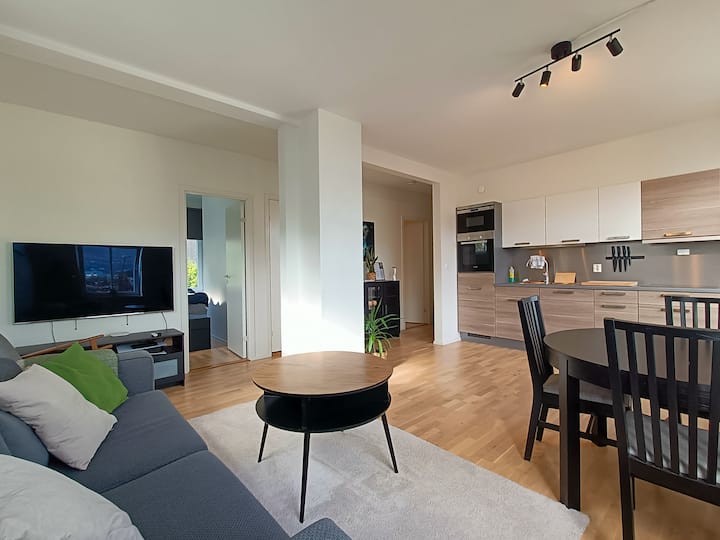 Moderne 2-roms I Lien, Bergen - 卑爾根