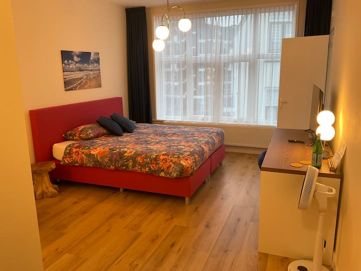 Aristotle 8 - La Haye