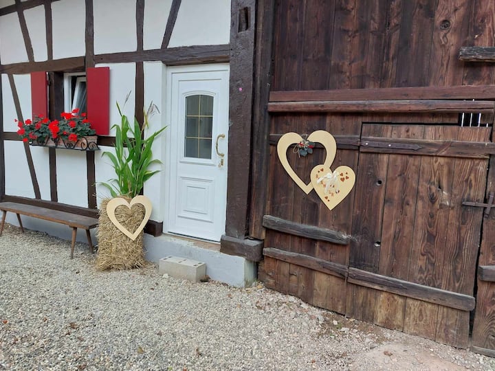 Gîte 2 Personnes Au Cœur D'une Ferme éQuestre - Rust