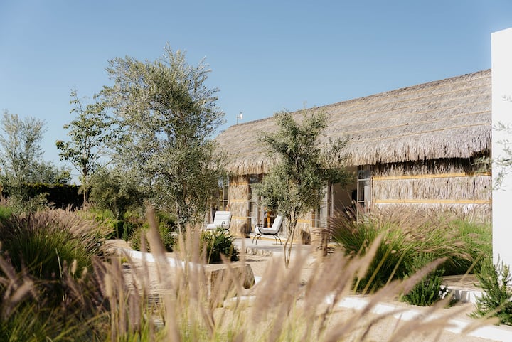 Casa Crisalide - Todos Santos