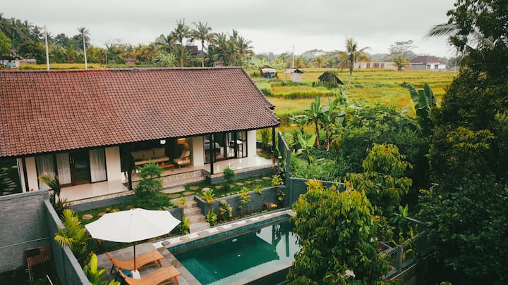 2br Villa, Private Pool W/staff, Jungle View - Ubud