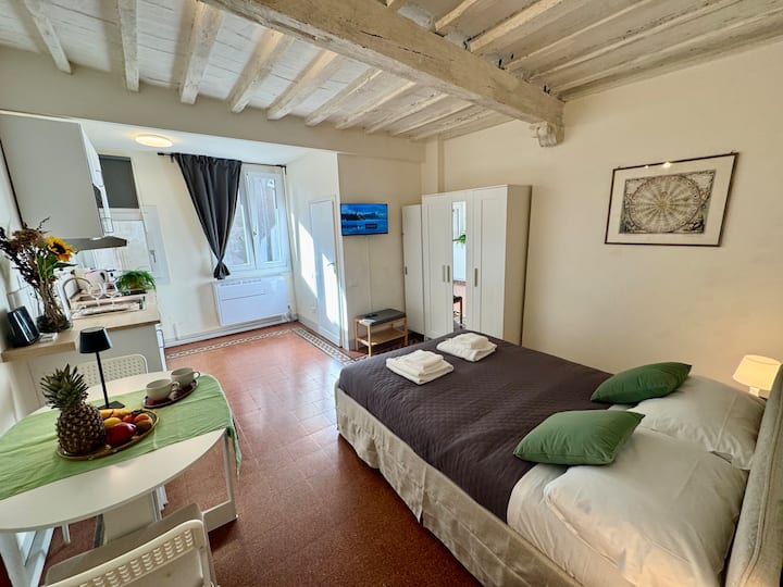 Galileo's House [Wi-fi Netflix, Vicino A Tutto ] - Florence