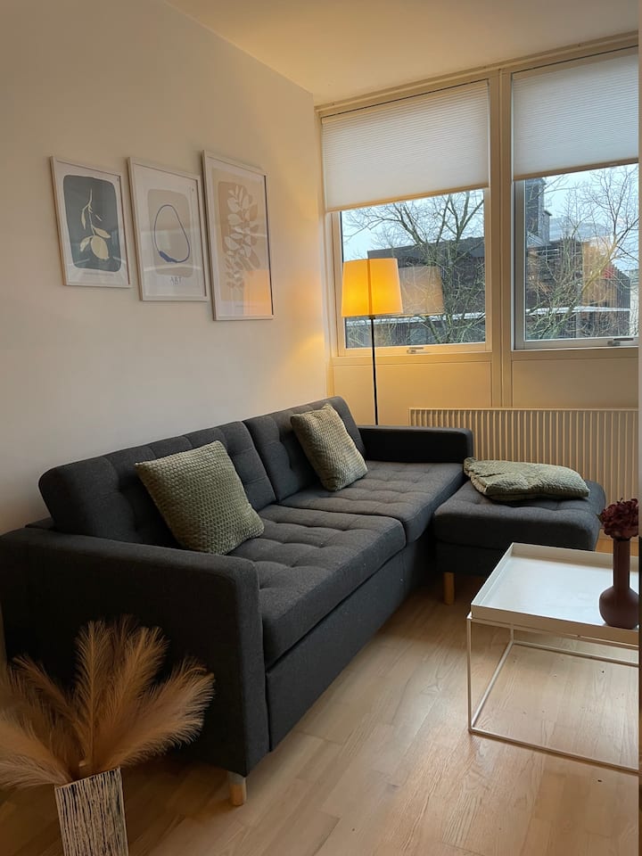 Stylish And Cozy In The Heart Of ÅRhus, Dk - Aarhus