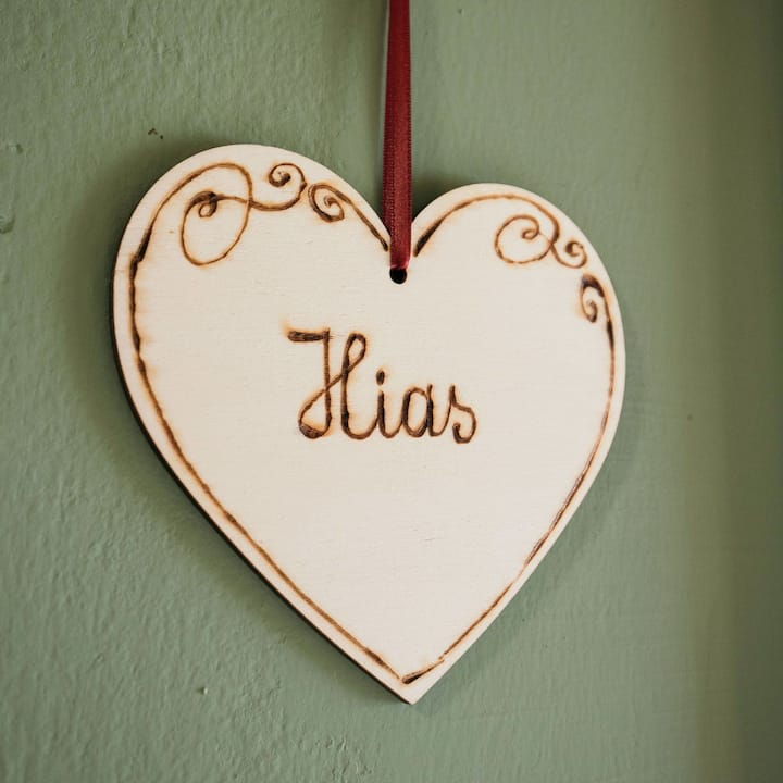 Domizil Ausseerland-apt. Hias - Hallstatt