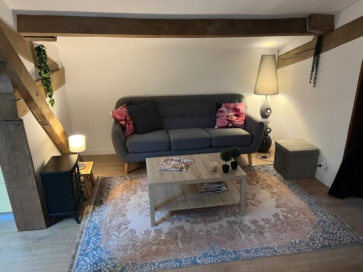 Ruim Appartement Met Terras, Tuin & Zwembad - Deux-Sèvres