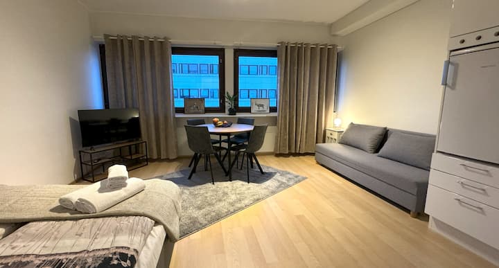 Northern City Nest - Rovaniemi