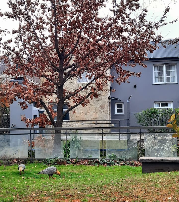 Rentahouse Casa Con Arroyo. - San Martín de Los Andes