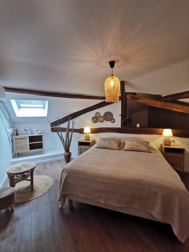 Domaine De Pourrouquet-chambre "Nature" - Vic-Fezensac