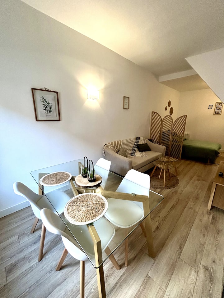 Ce Magnifique Studio Tourcoing - Mouscron