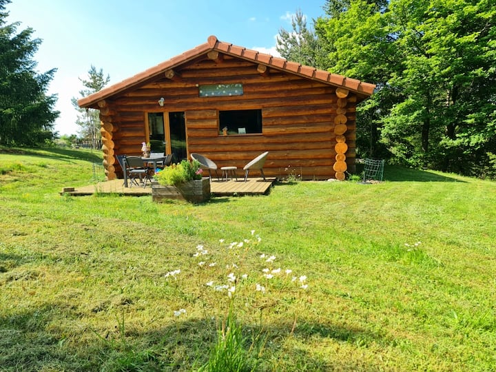 Babet: Chalet Rondins De Bois Avec Espace Détente - Monistrol-sur-Loire