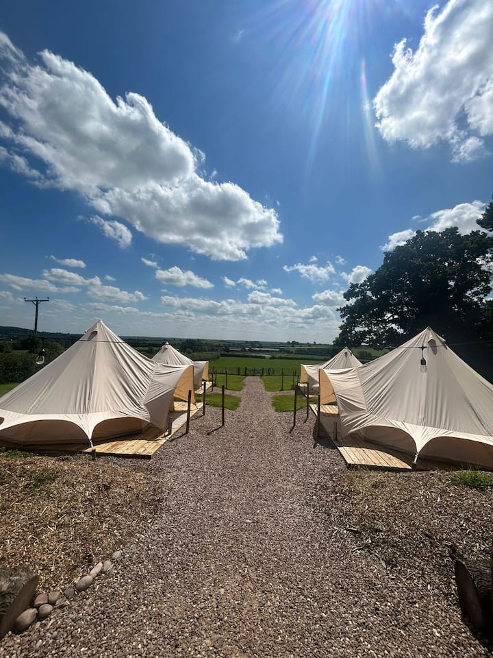 Hen Camp At Field Head Farm Staffordshire - Alton