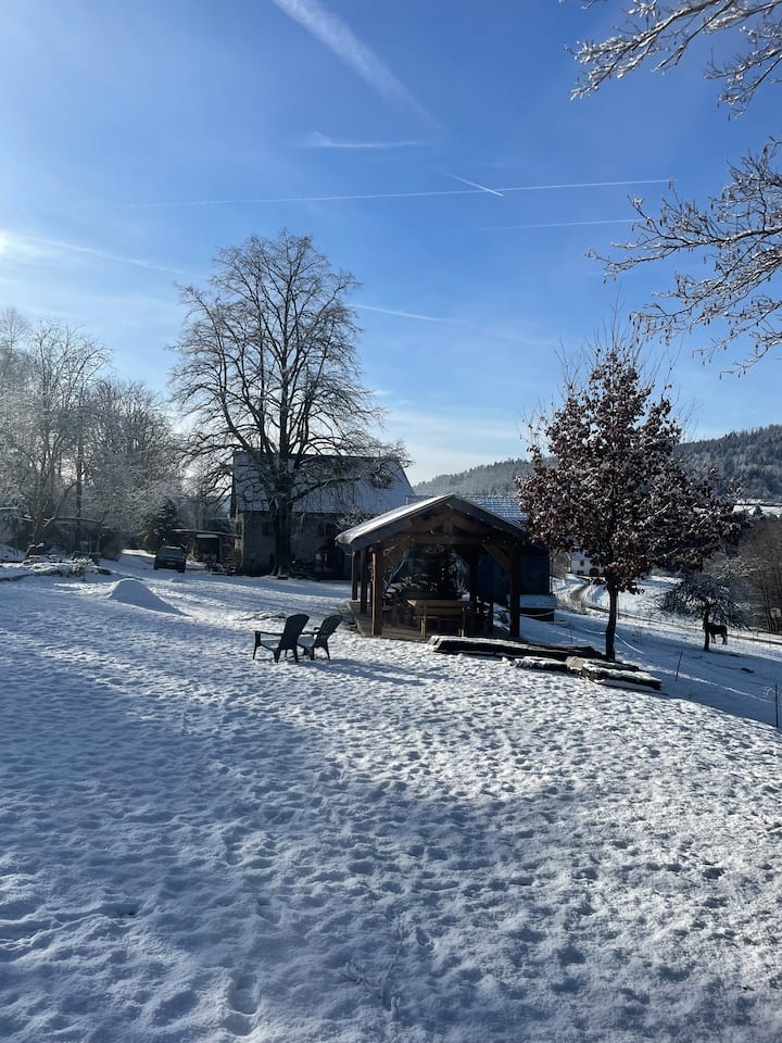 Belle Ferme Authentique - Vosges