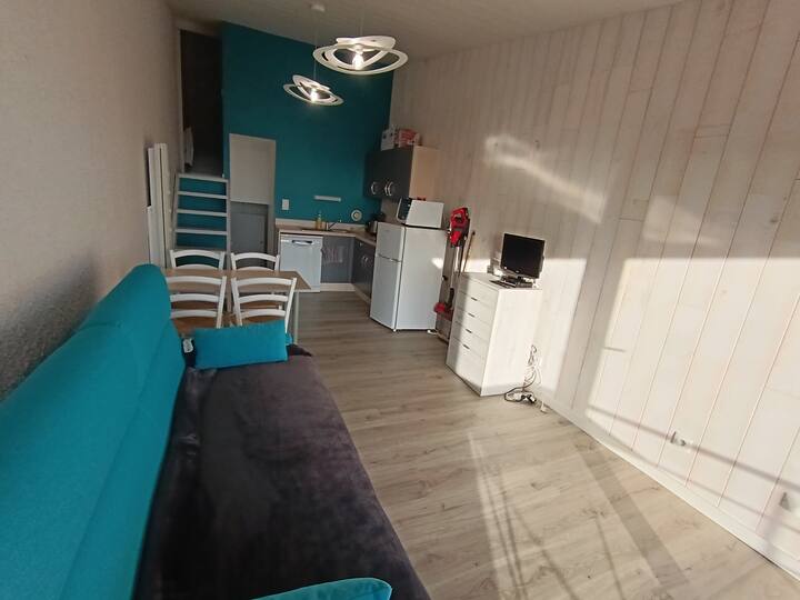 Appt T2*wifi*parking - Lac Pavin