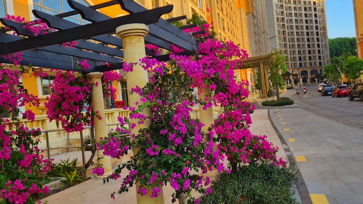 Căn Hộ Studio Dành Cho 2 Người, Giá Tốt - Phú Quốc