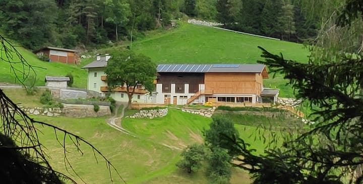 Urlaub Am Bergbauernhof - Neustift