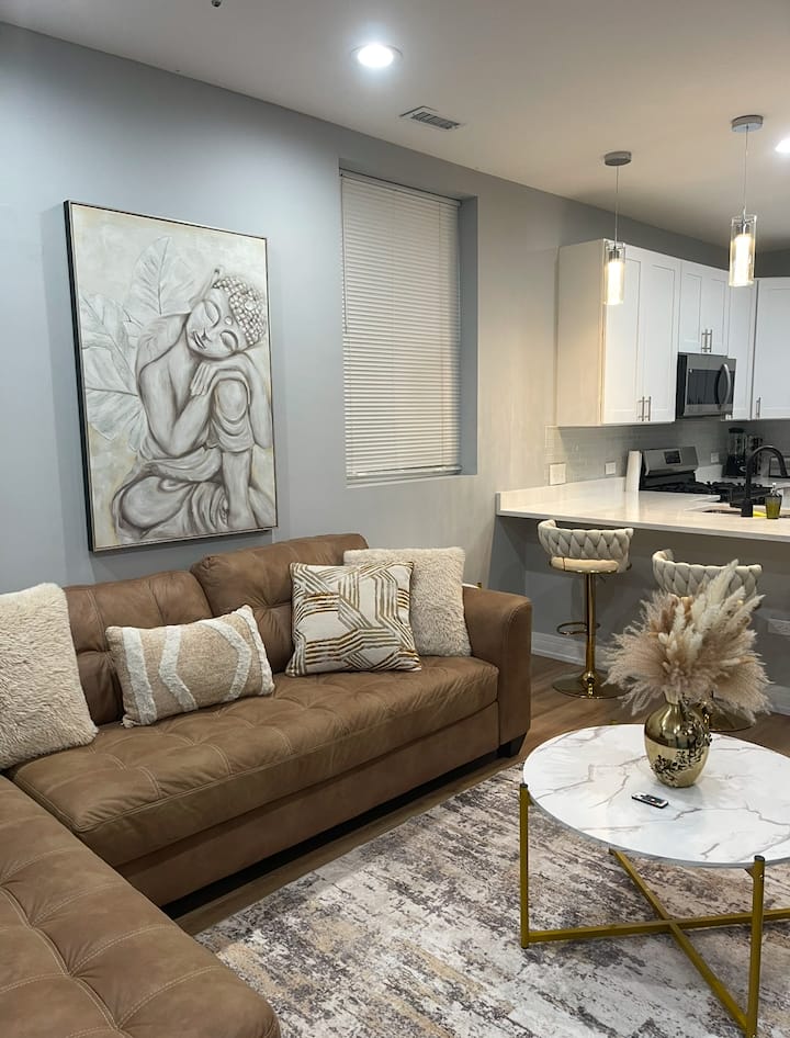 Condo In Chicago Bronzeville 9 Mins To Downtown #1 - Chicago, IL