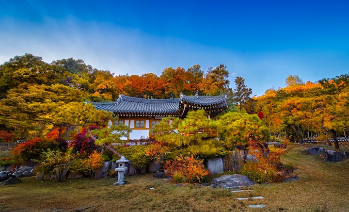 Chosun Royal Family Hotel (President) - 전곡읍
