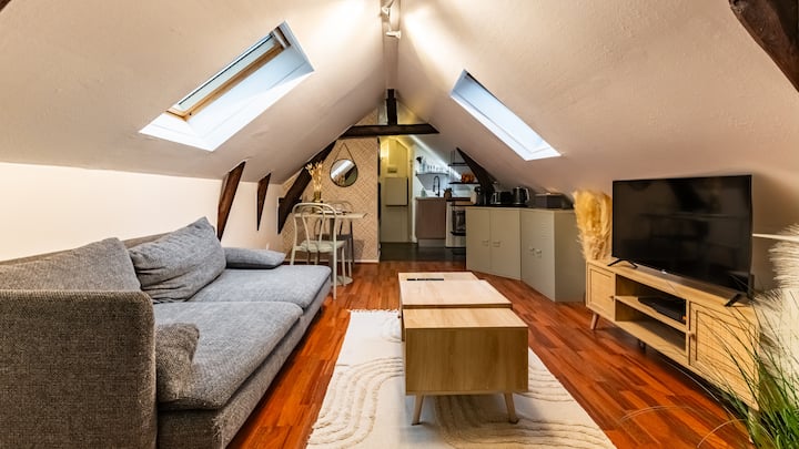 Le Cocon Saint-michel - Cosy Et Moderne - Dijon