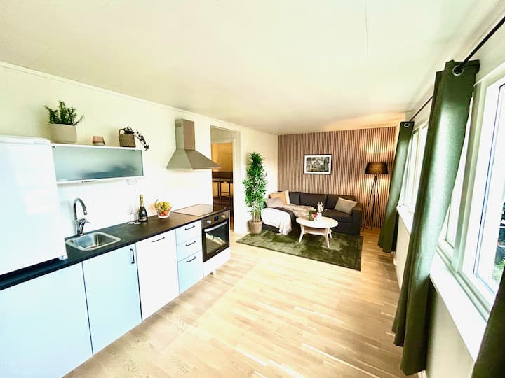 Casa Troll Apartment 3 In Citysenter - Tromsø