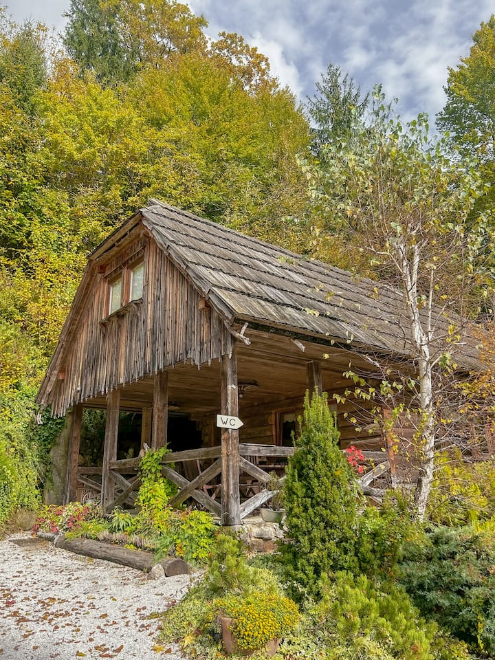 Family Alpine Style Forest Cabin - Slovenia