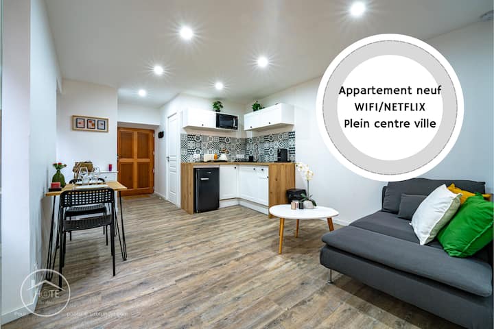 T1 Bis/plein Centre Ville - Chambéry