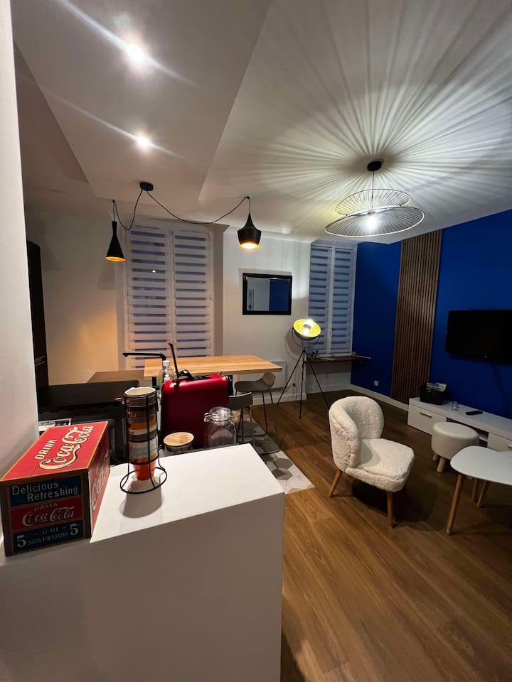 Le Flamboyant - 3 éToiles - Wifi - Central - Cosy - Aix-les-Bains