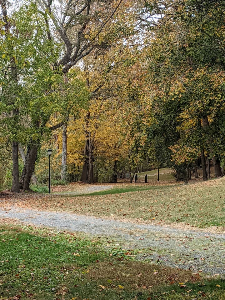 Grandma's Big House - Winston-Salem, NC
