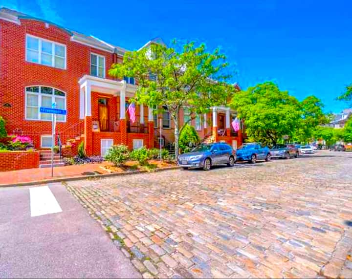 Gorgeous Downtown Norfolk Apt W/patio - Norfolk, VA