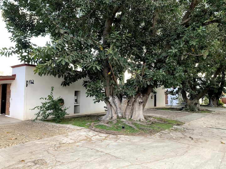 Hotel Km7 - Habitación Matrimonial Sencilla 23 - Oaxaca