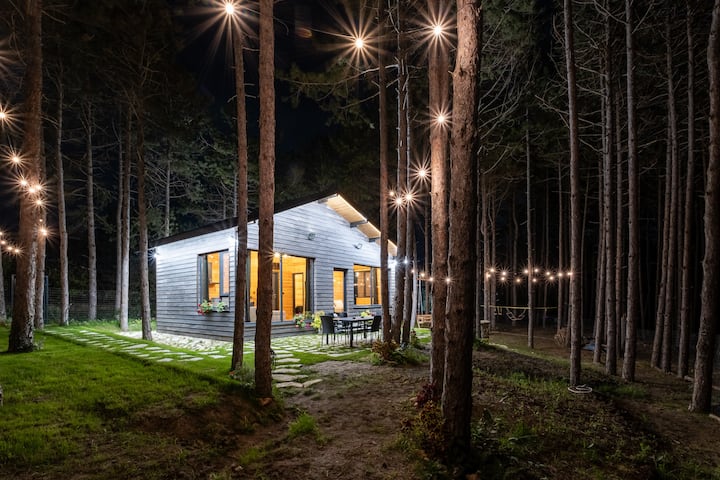 Forest House Vi - Varna