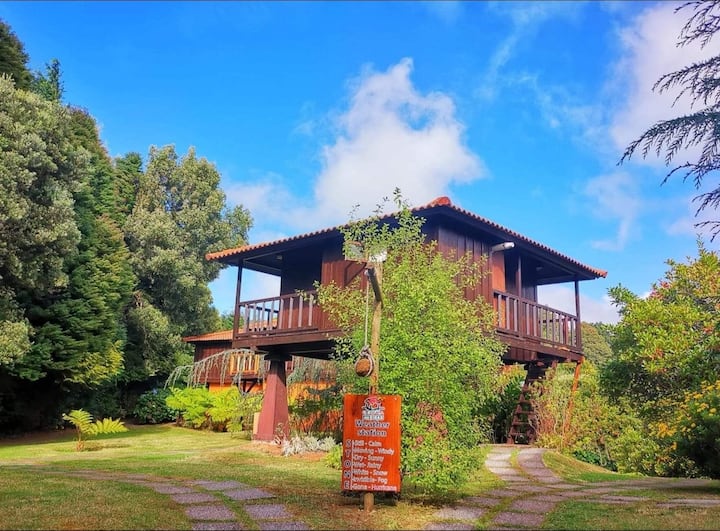 Abrigo Do Santo - Santana