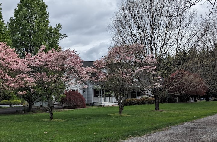 Quiet Apt Near Lexington And Buena Vista - Natural Bridge Zoo, Natural Bridge