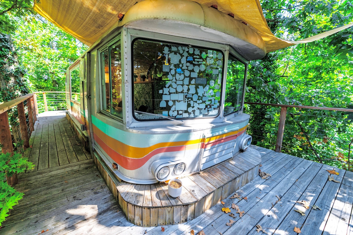 1BD - Jovem Selvagem e Árvore (Casa) com Hottub, Firepit-9 - Casas na ...