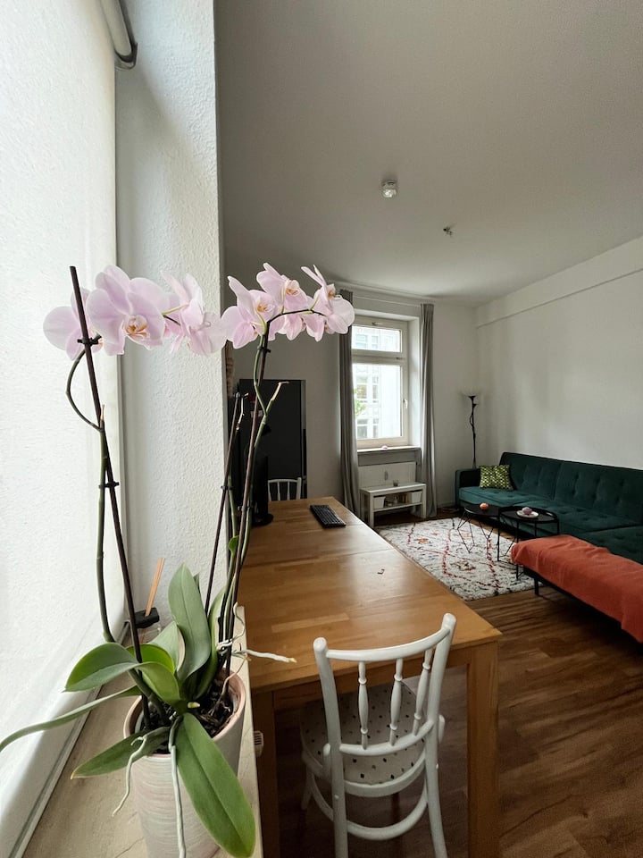 Private Full Apartment - Südbahnhof - Frankfurt am Main