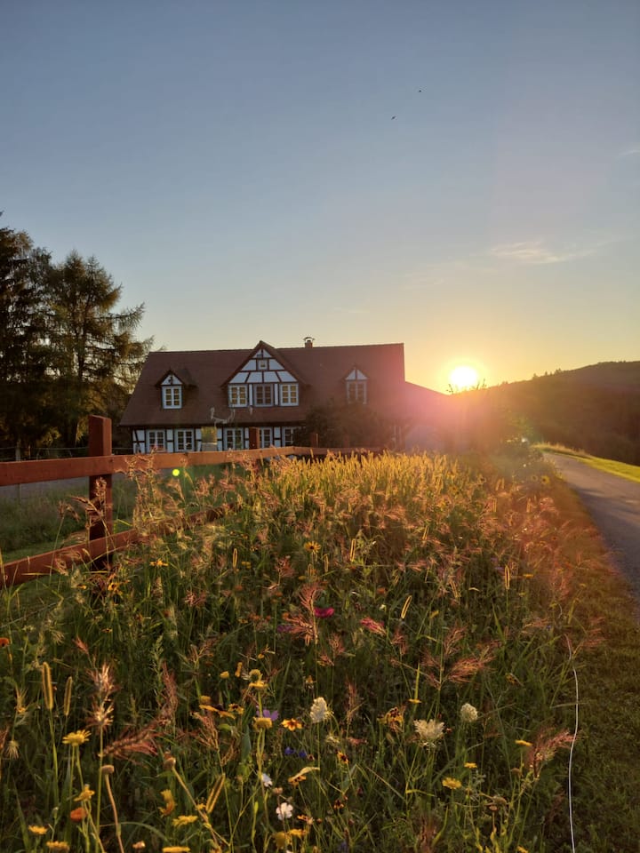 Fachwerkhaus Mitten In Der Natur - Weinheim