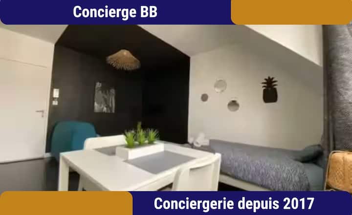 Ahm -Grand Studio 2 Personnes Centre Ville - Brest