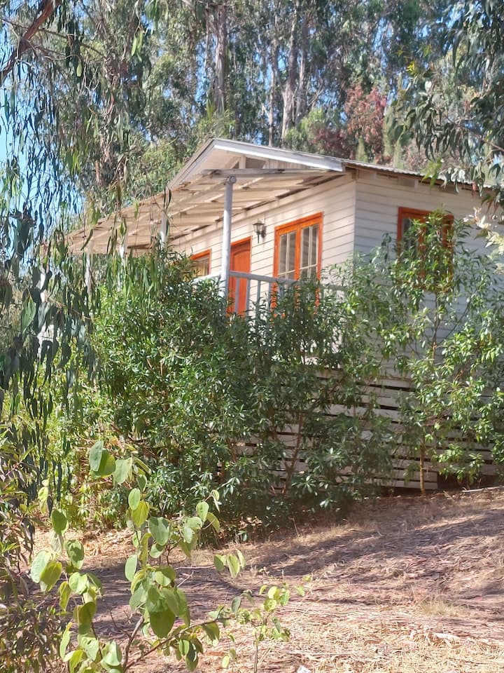 Cabaña Campestre Nº 5 - Santo Domingo