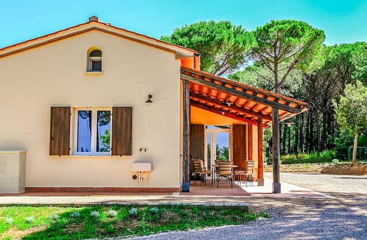 Agriturismo Bolgheri 24 - Mare Aparmtent - Castagneto Carducci