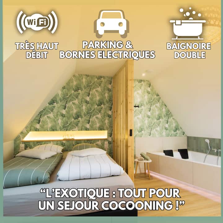 L’exotique - Baignoire Double - Cozy - Duplex - Haguenau