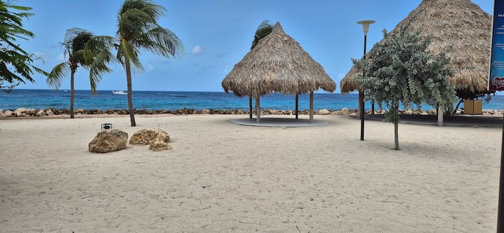 Studio 1 With Beach Front View - 퀴라소