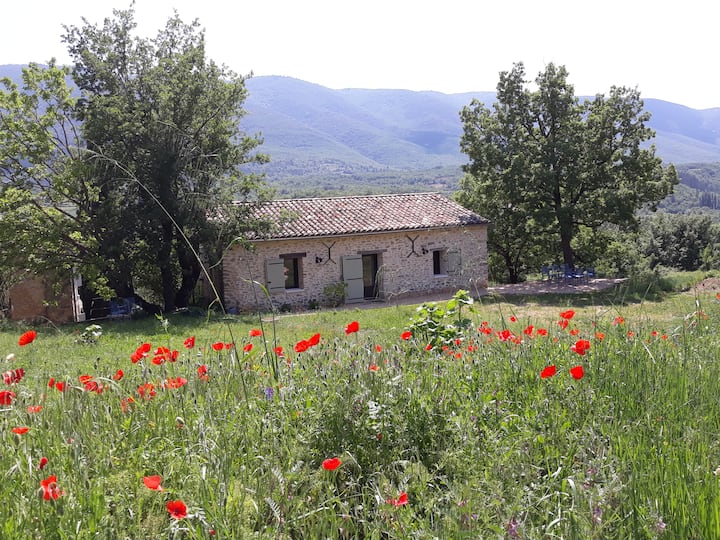 La Magnanerie De L'espatule - Vaucluse