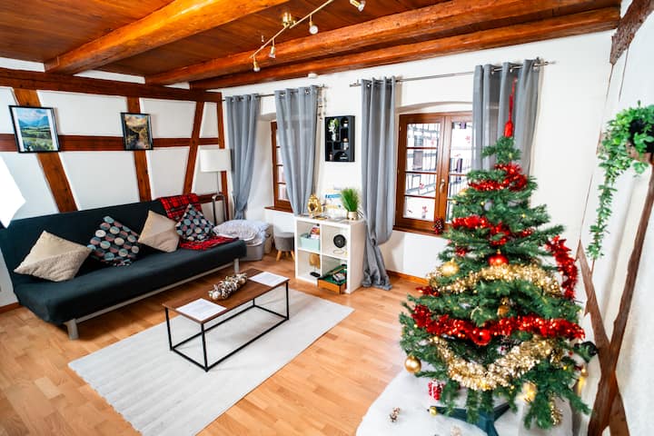 Refuge Des Vignerons - Turckheim Centre Historique - Turckheim