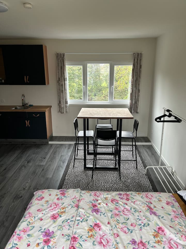 Amsterdam Chic Budget Studio 1 Bedroomonly - Hoofddorp