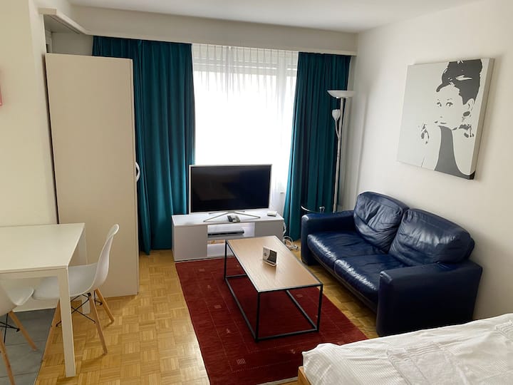 Nice Studio With View Over The City (Vineyard 52) - Zúrich, Suiza